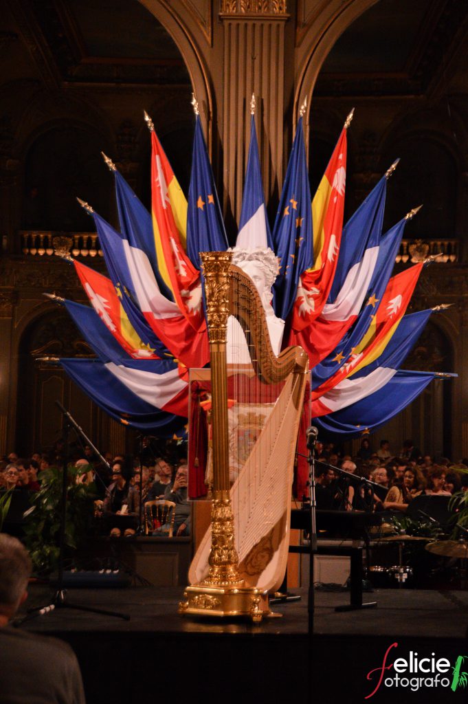 Ten years of the Festival Camac, celebrated well in Nancy! - Camac Harps