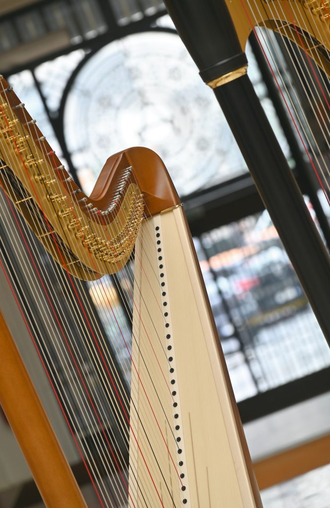 Camac Harps presents...Égérie - New pedal harp