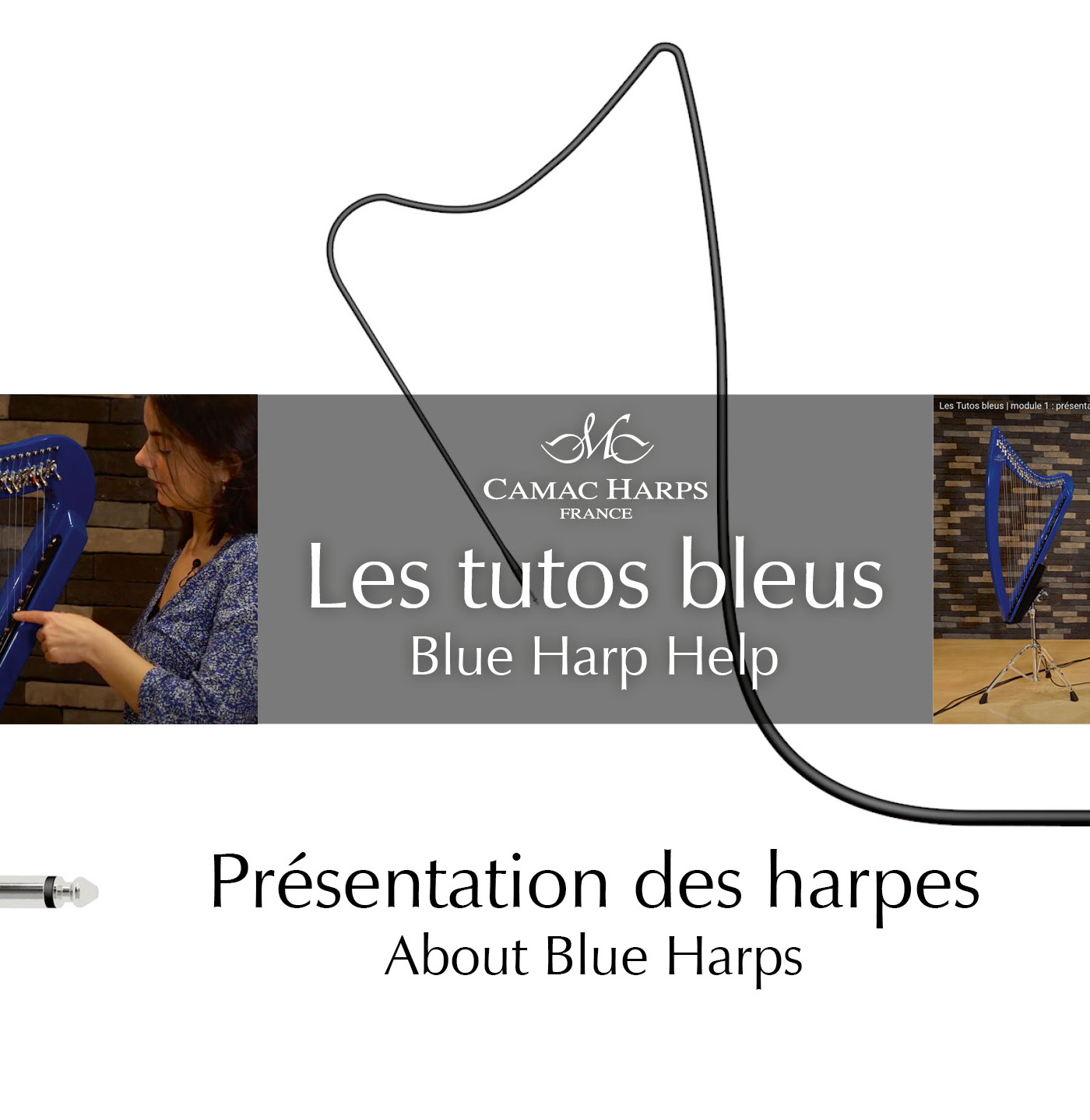 All about electric harps - video tutorials by Camac