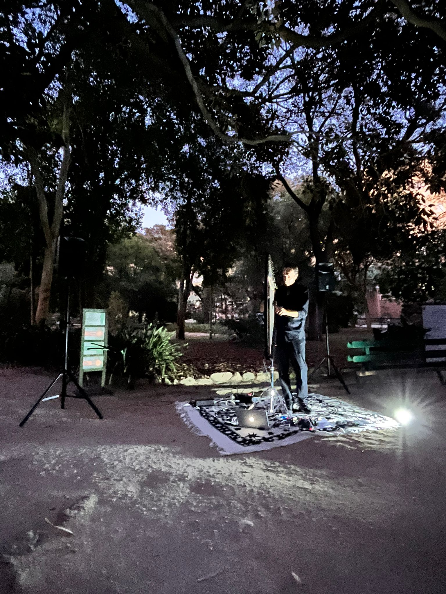 Raoul Moretti: The Solar Powered Harpist - Camac Harps