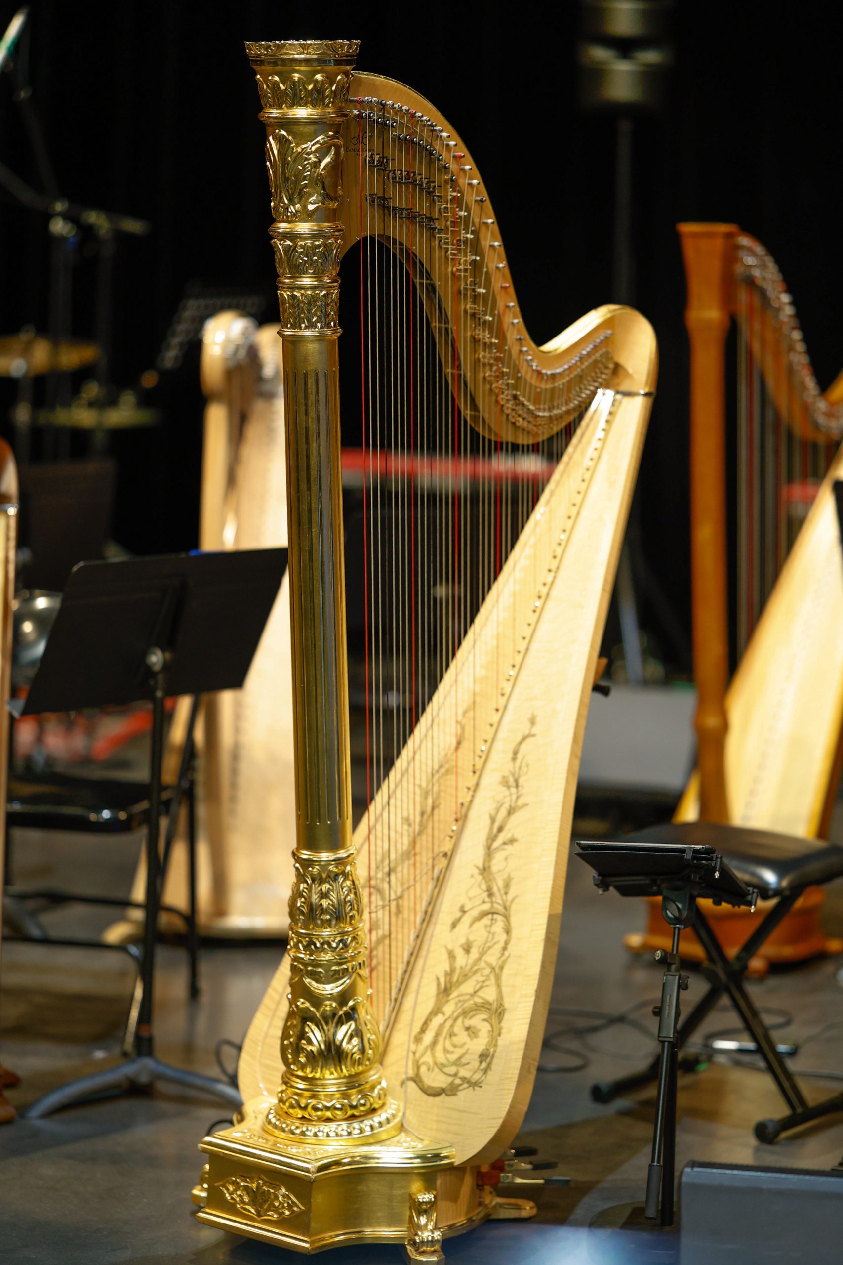 Harpes aux Max: A Celebration of Creativity and Community - Camac Harps
