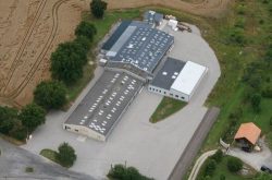 A history of Camac Harps, France | Camac Harps website