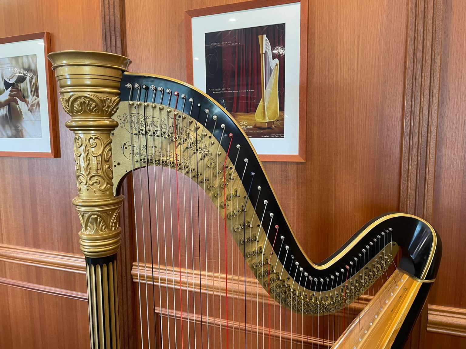 Harpe Occasion - Les Harpes Camac