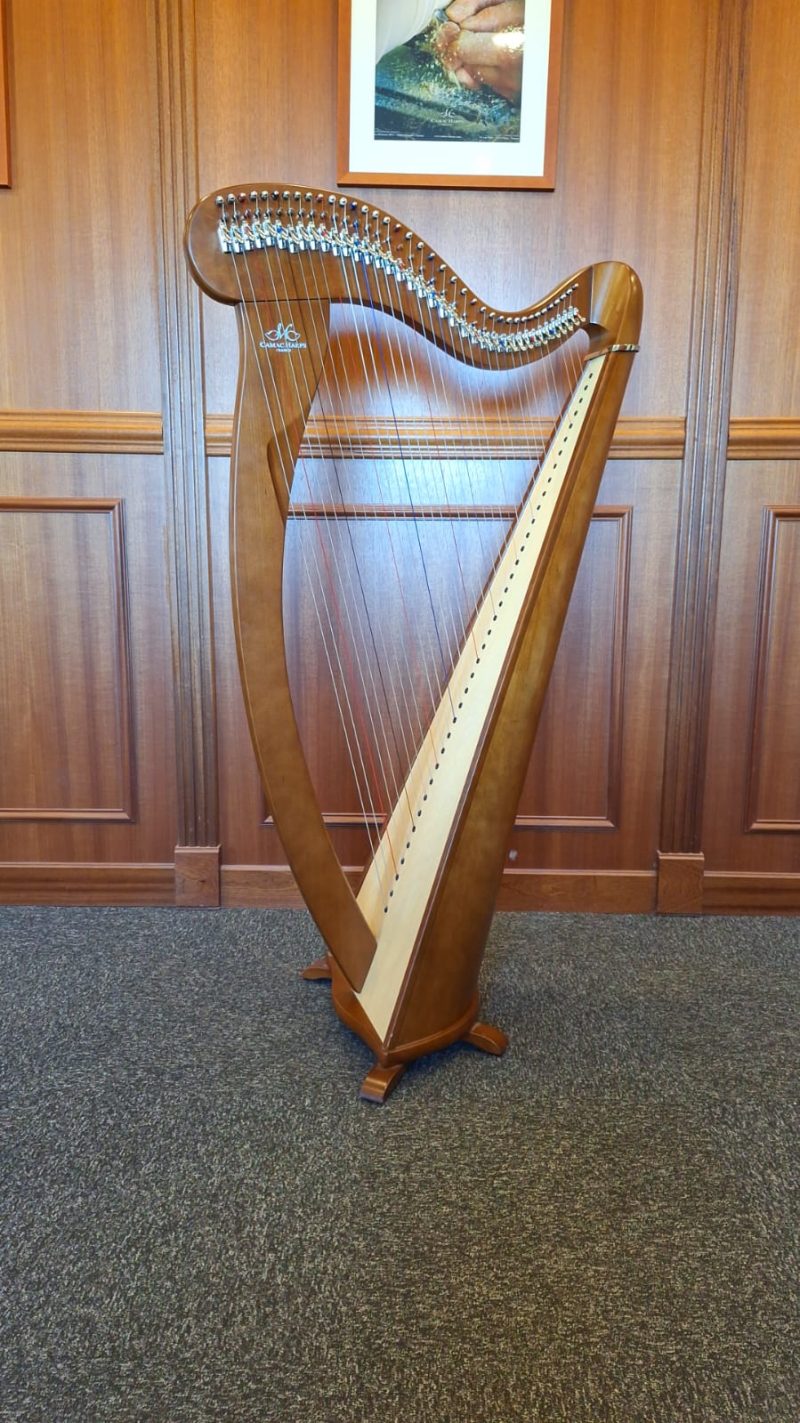 Harpe Occasion - Les Harpes Camac