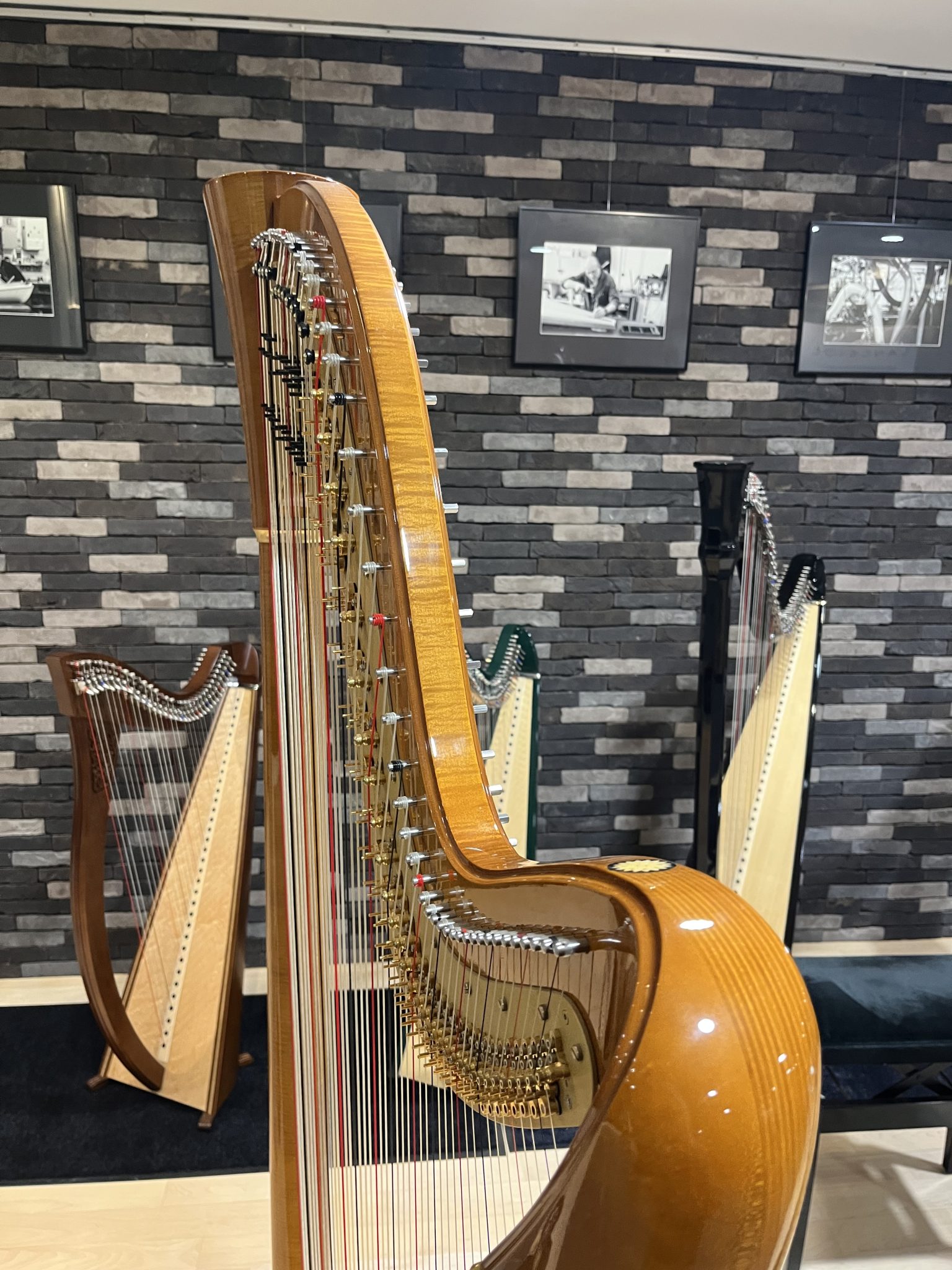 Harpe Occasion - Les Harpes Camac