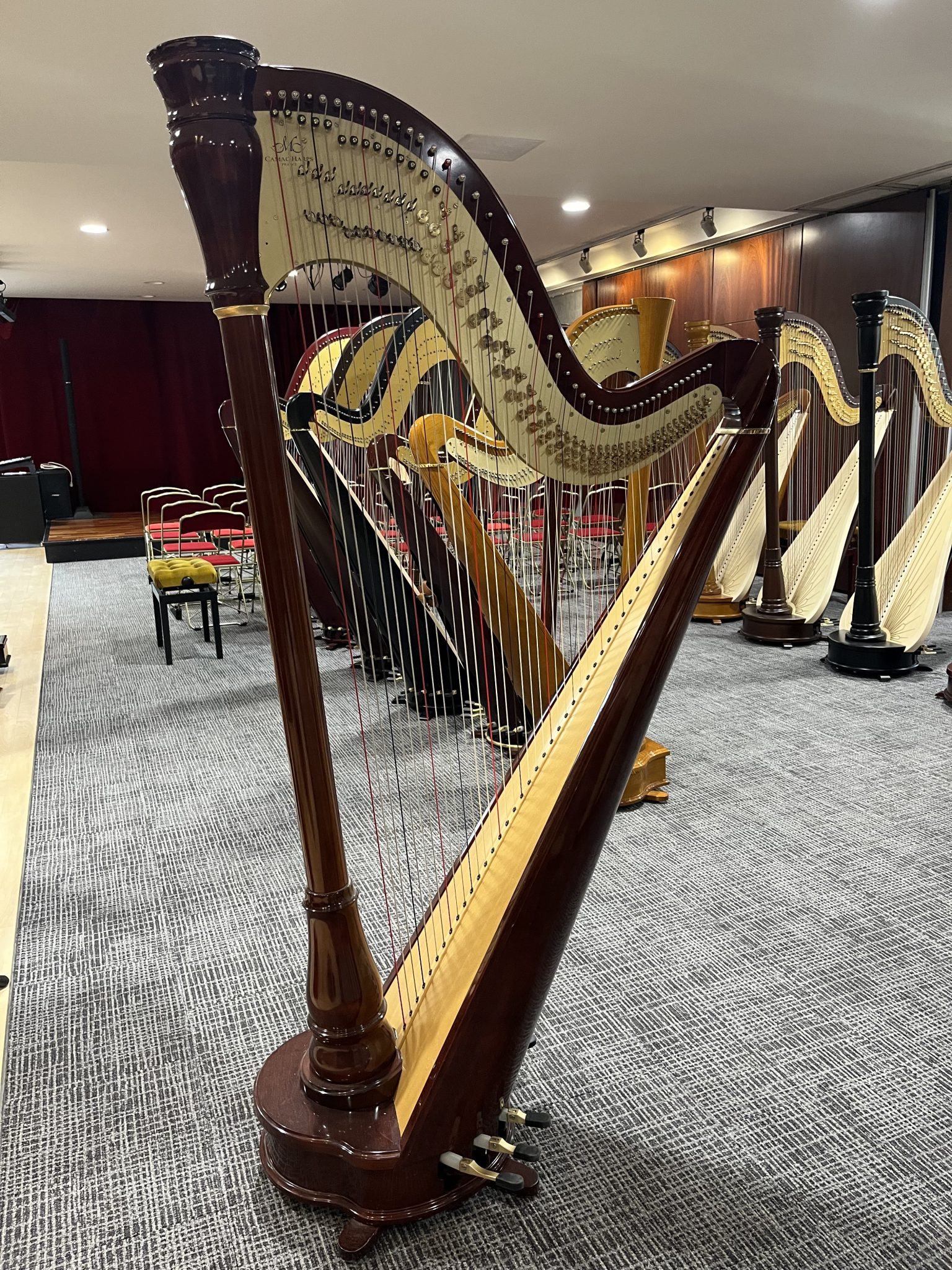 Harpe Occasion - Les Harpes Camac