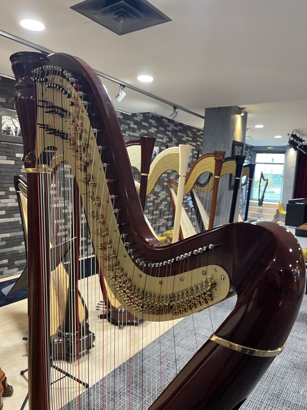 Harpe Occasion - Les Harpes Camac